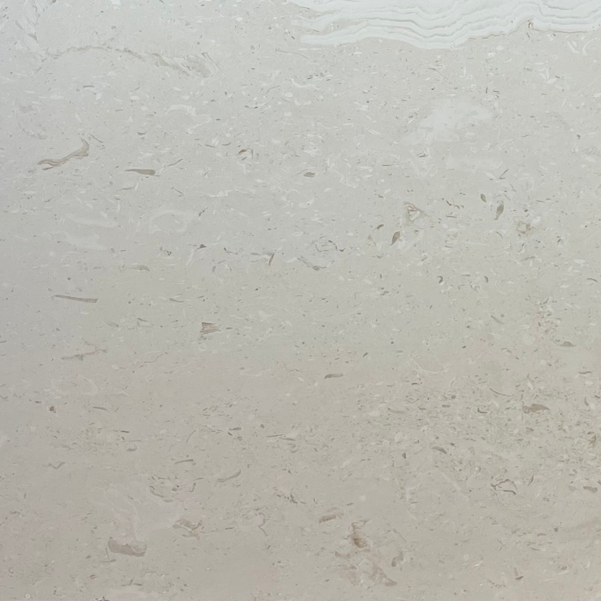 Mayra White Limestone Tile 12x24 – travertinemarket